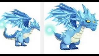 Cold Star Dragon Dragon City