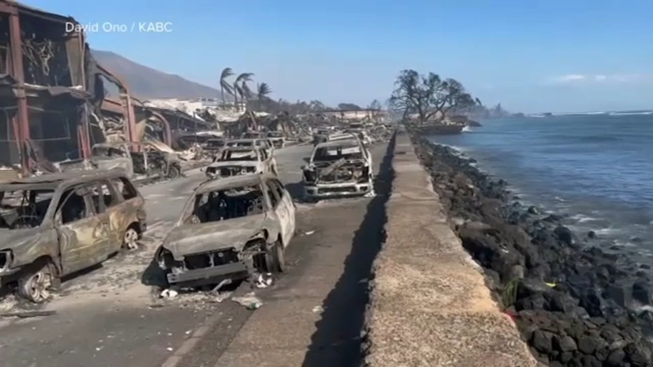 HAWAII WILDFIRE: WHEN PARADISE BURNS UP #maui #lahaina #dew # ...