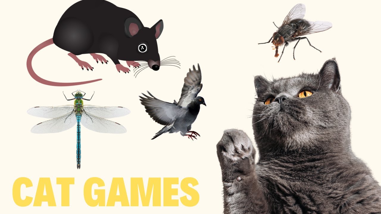 CATS GAMES MIX - GAME FOR CATS - CAT TV - ULTIMATE Games Compilation ...