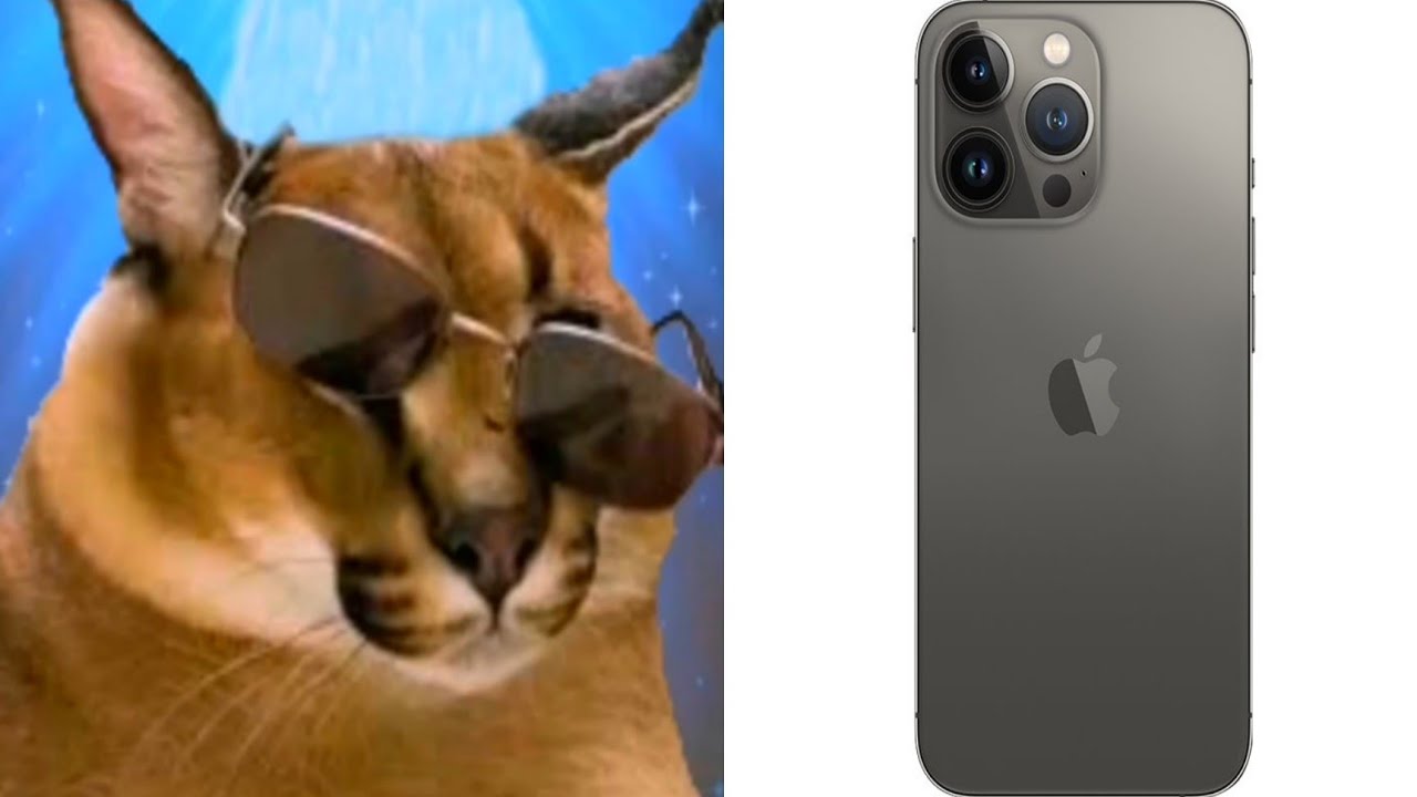 Floppa Becoming Canny (Your phone) - YouTube