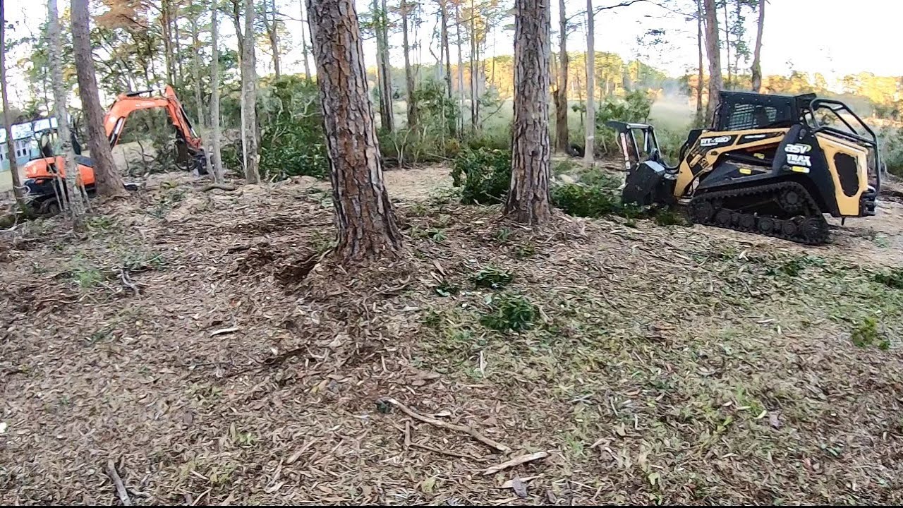 Forestry mulching waterfront property with ASV RT120 cimaf 180d and ...