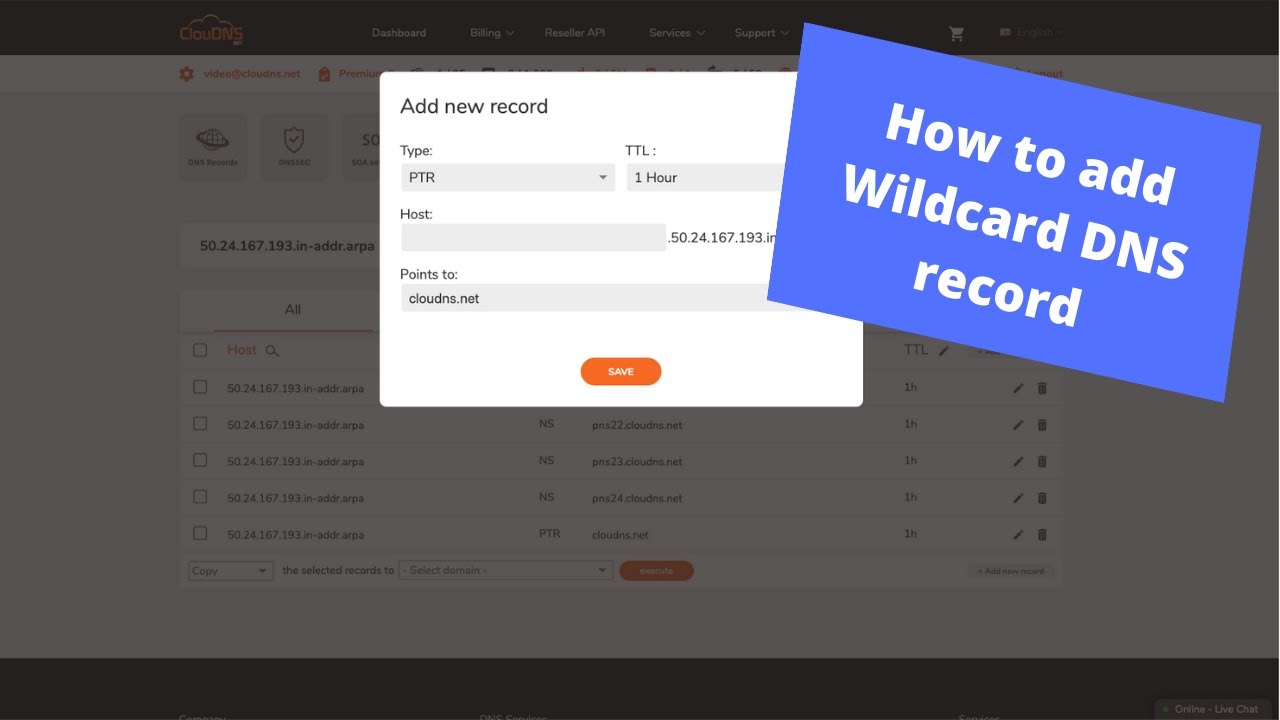 How to add Wildcard DNS Record? - YouTube
