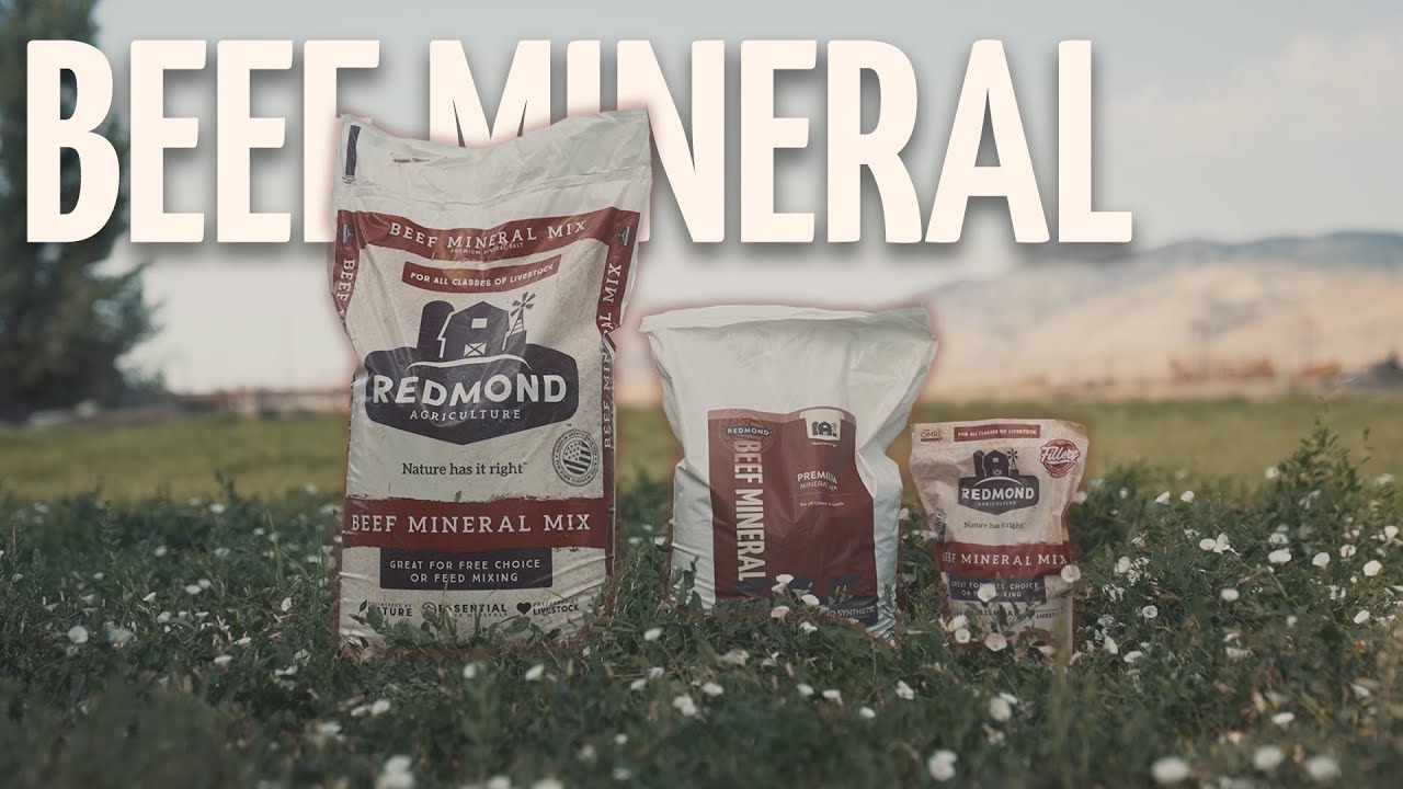 Natural Cattle Minerals | Redmond Beef Mineral Mix - YouTube