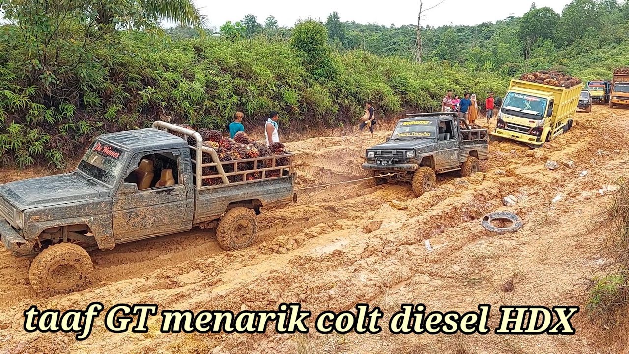 Luar Biasa Taaf Gt Menarik Colt Diesel Colt Diesel Menarik Fuso Oren
