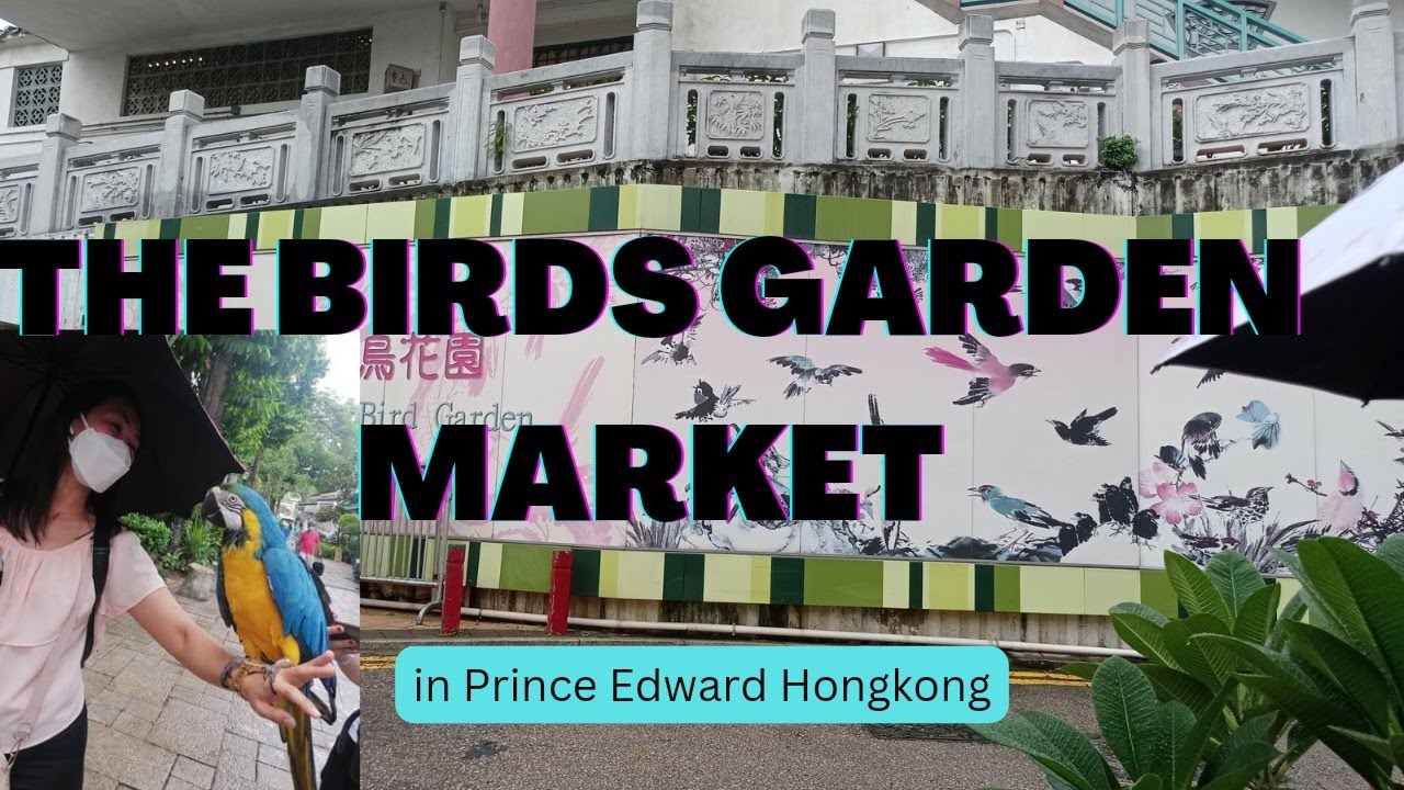 A place to visit in Hongkong||Yuen Po Birds Market Prince Edward - YouTube
