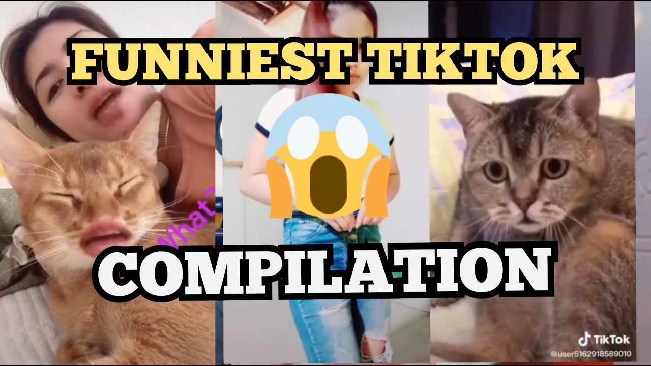 TICTOK FUNNIEST COMPILATION AND FUNNY MOMENT - YouTube