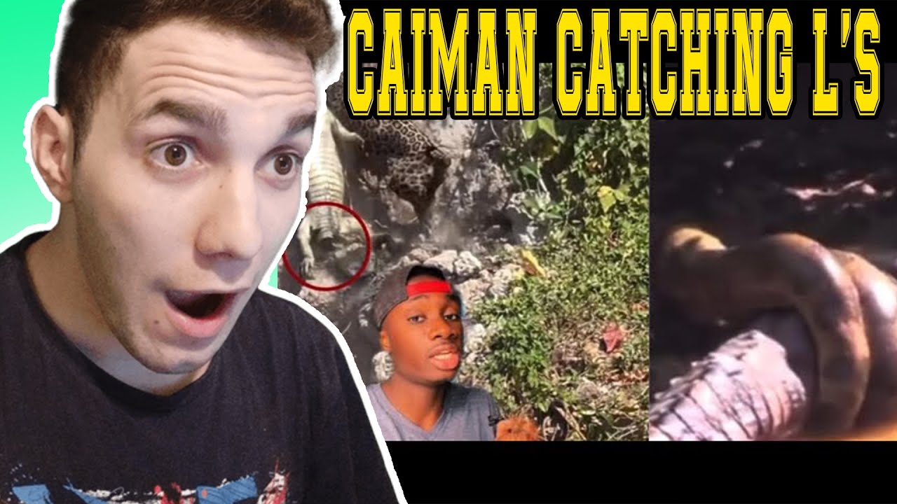 Casual Geographic- Is this the Most Disrespected Animal in Nature ...