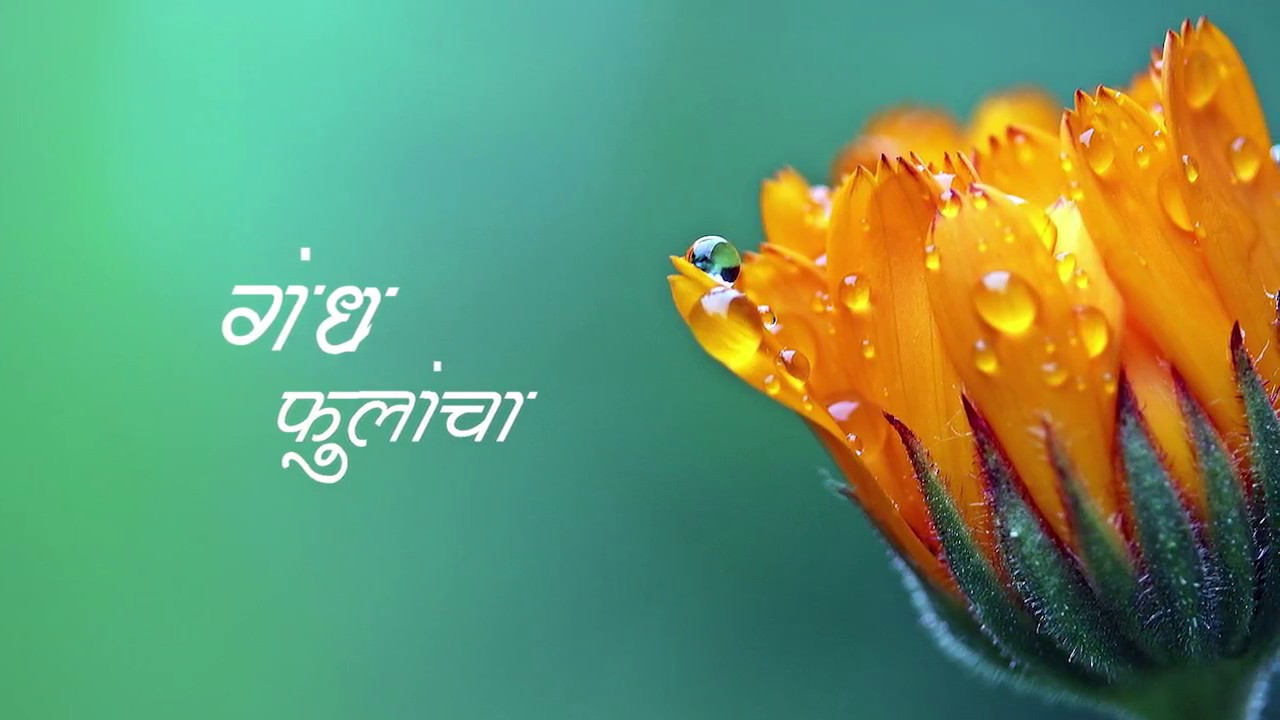 Gandh Fulancha Gela Sangun | 30 Secs | Whatsapp Status | - YouTube