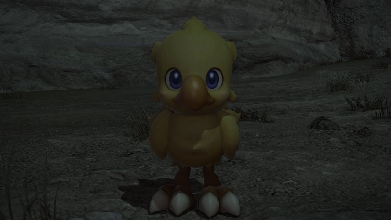 FFXIV Chocobo - kweh? - YouTube