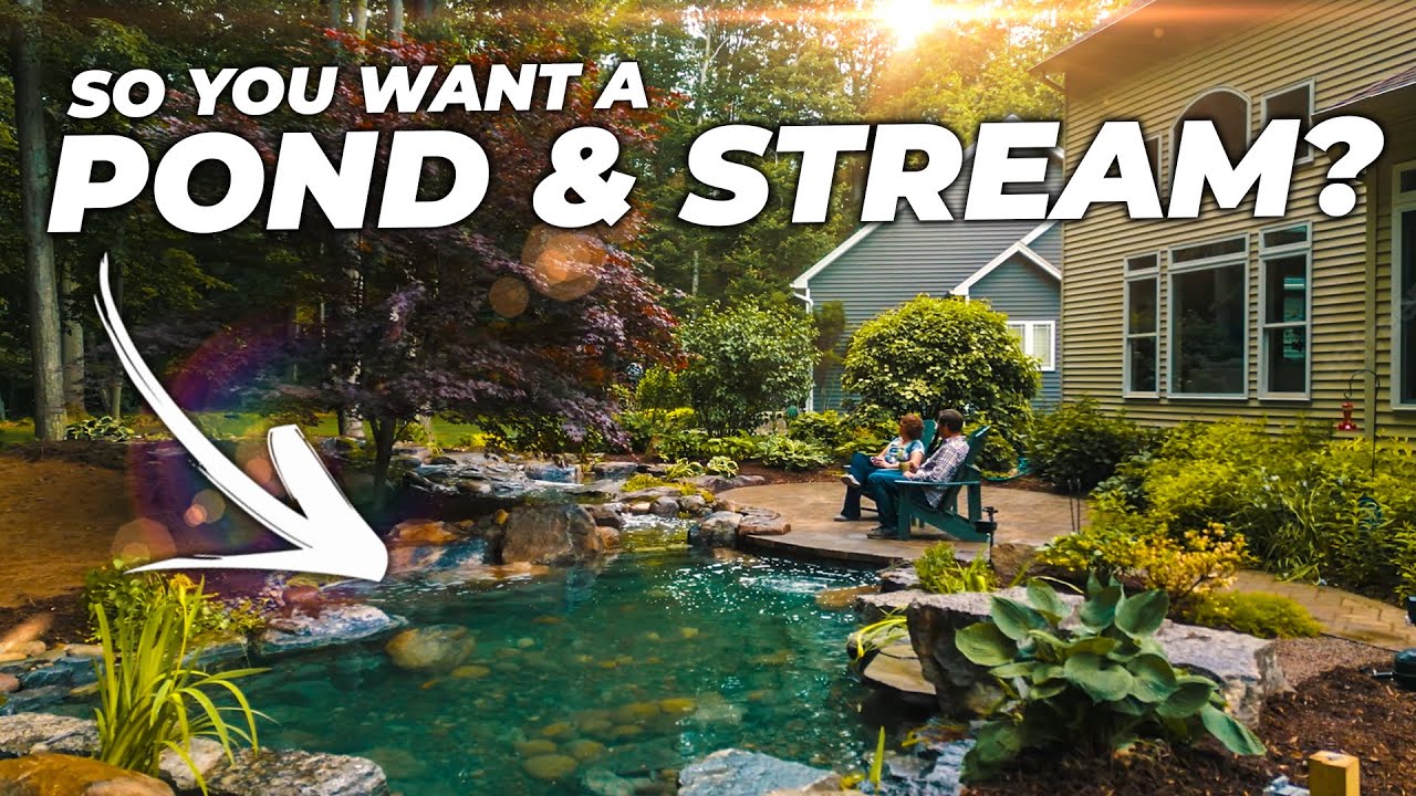 Transforming an Old Pond into.... | How we build wetland filters ...