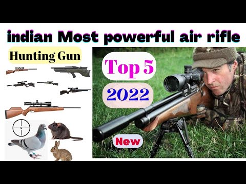 Bird Hunting Air Gun | Powerful Air Rifle in india | low price air gun ...