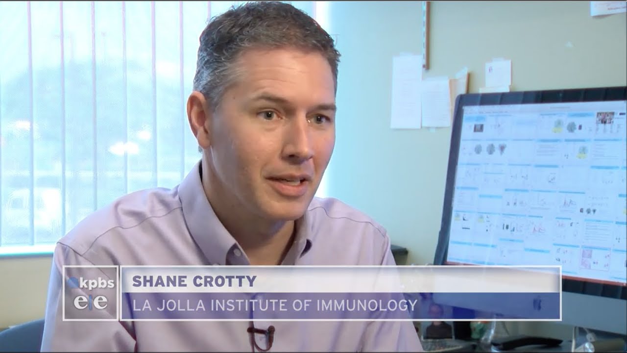 KPBS: LJI's Dr. Crotty Discovers Why Some Children Some Children Are ...