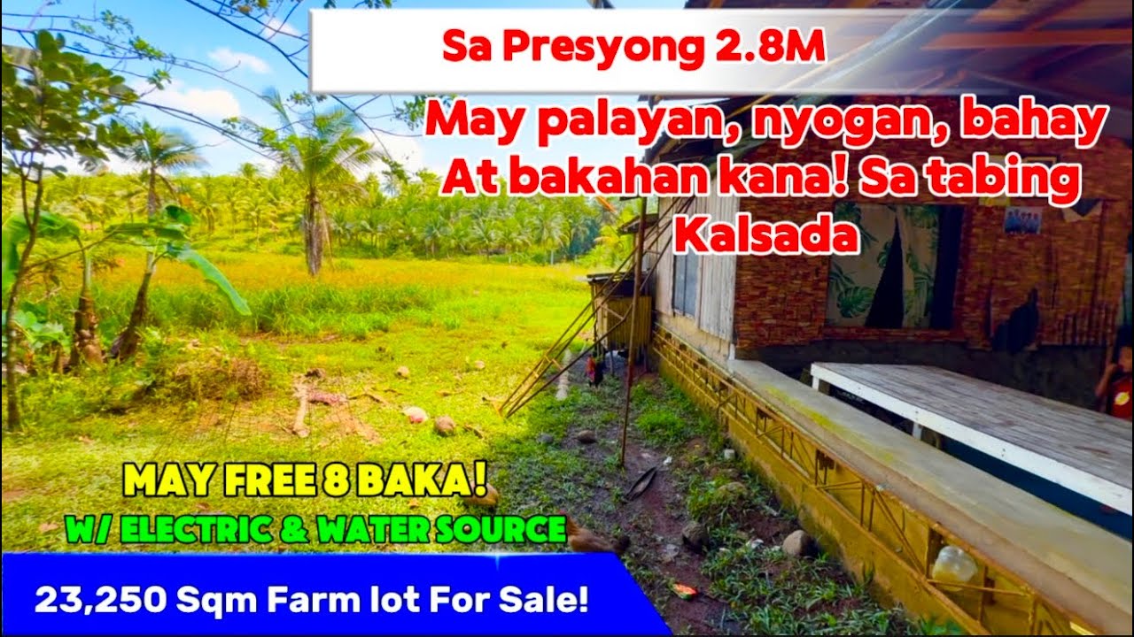 V#201 ayos na farm for sale ito! May bahay na at may walong baka pa! 2. ...