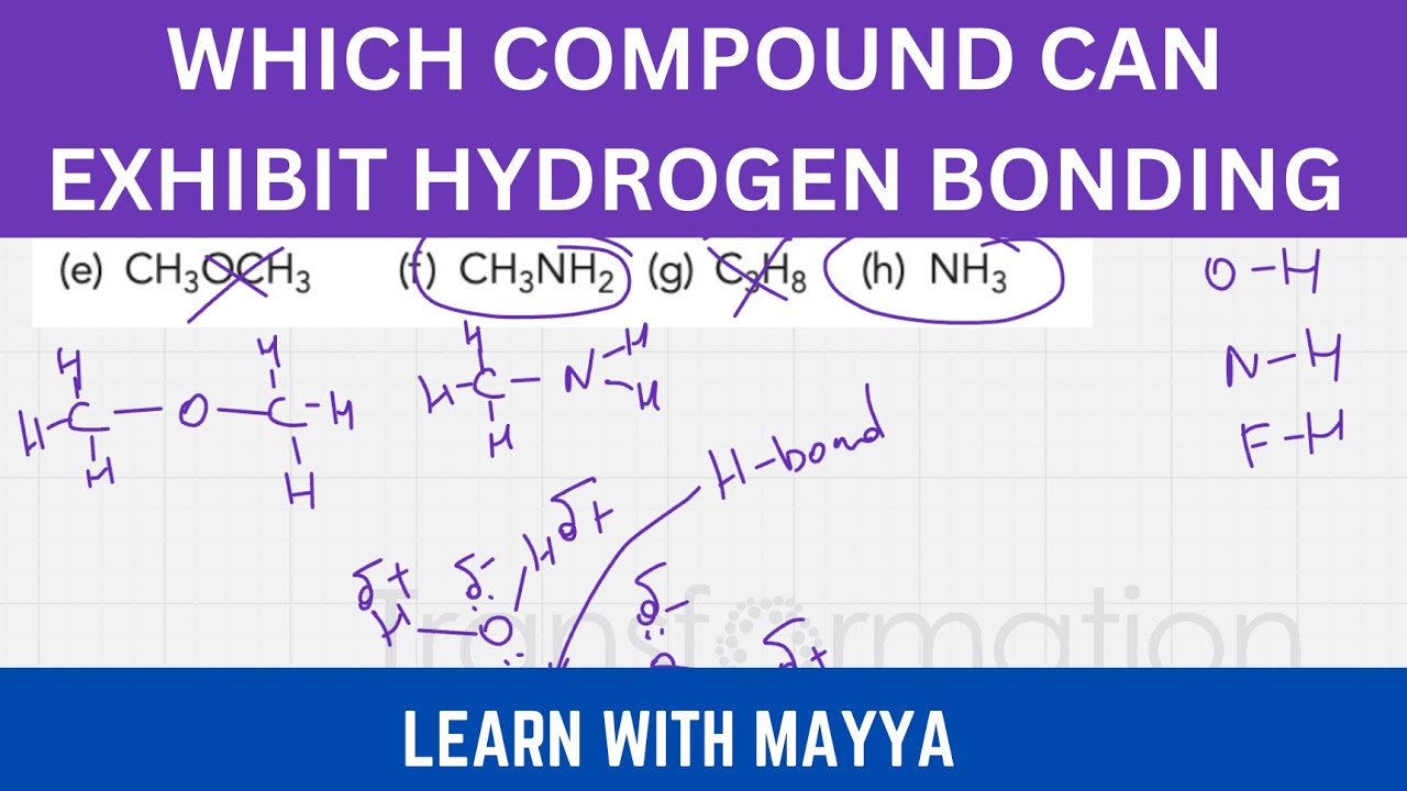 Which of the following pure compounds will exhibit hydrogen bonding ...