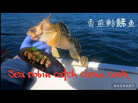 Sea robin catch clean and cook/ 香煎鲂鮄鱼 - YouTube