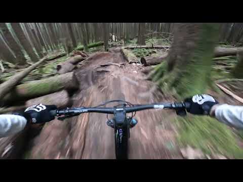 Ditch Pig - Squamish, BC - Mountain Biking - Diamondhead trails - YouTube