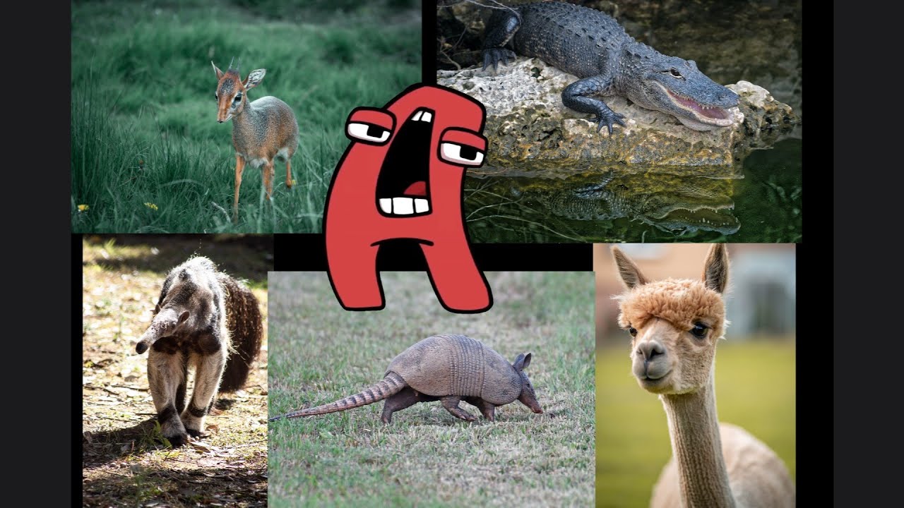 Alphabet Lore But Animal Songs (A) - YouTube