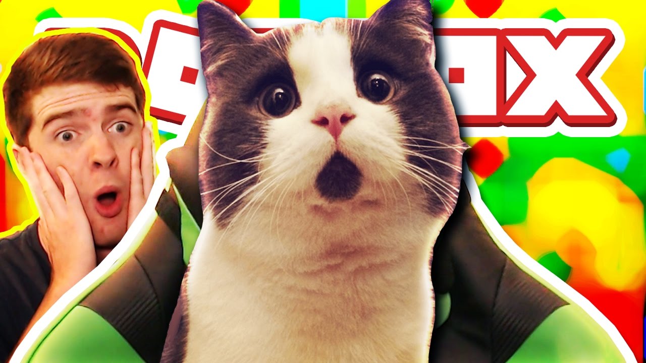 Cat Plays Roblox Youtube