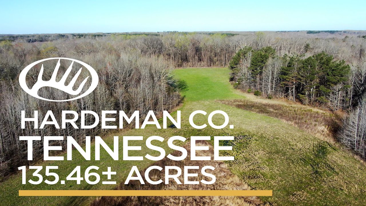 Hardeman County, TN 135.46± acres - YouTube