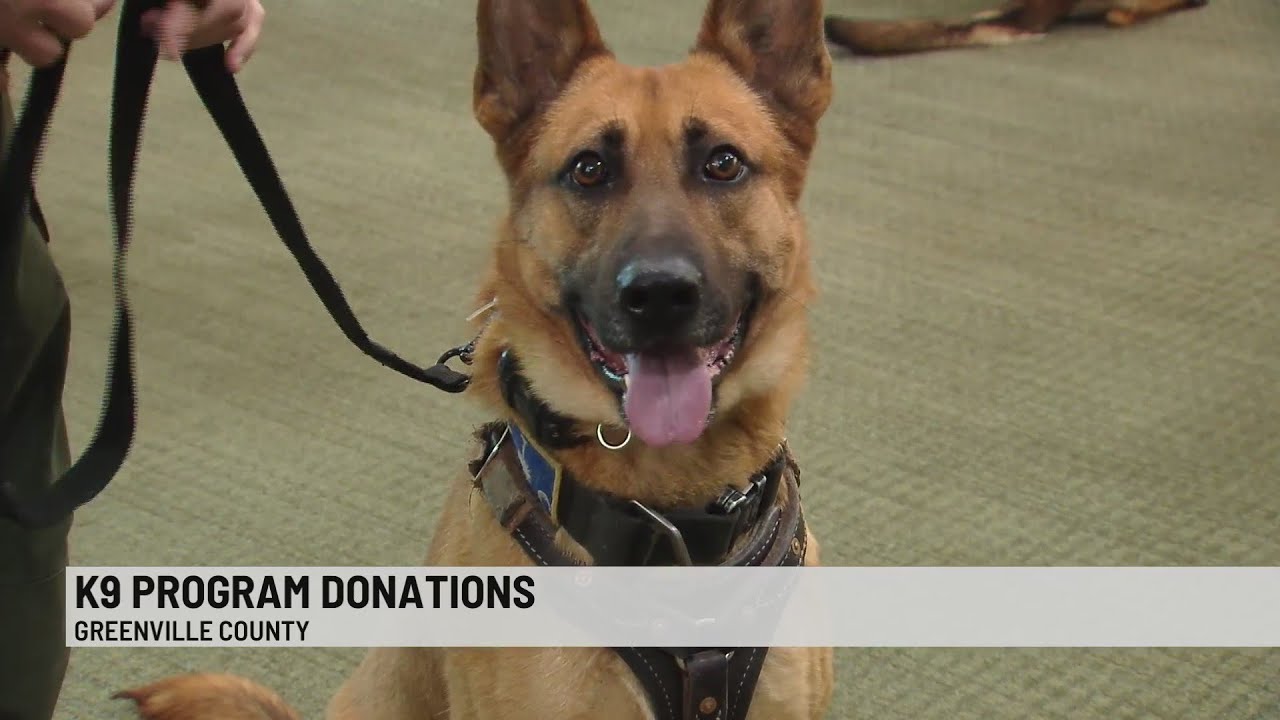 K-9 programs receive donations from Upstate organizations - YouTube