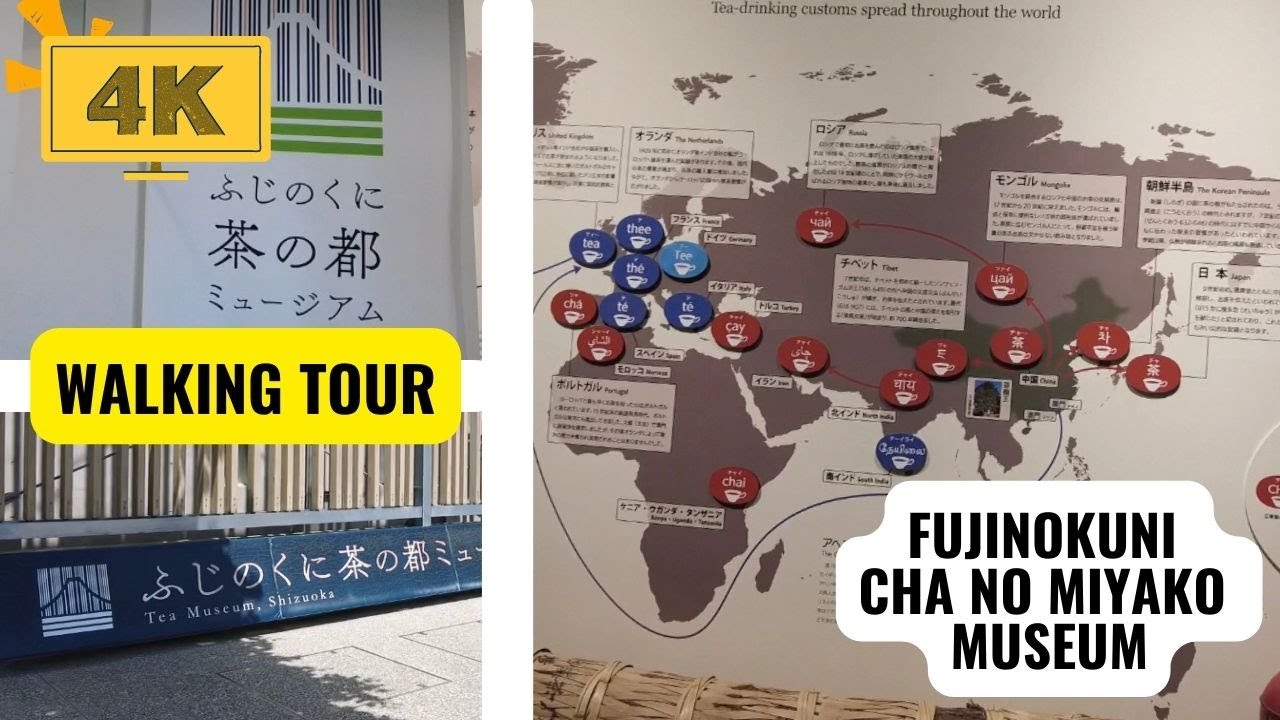 FUJINOKUNI CHA NO MIYAKO MUSEUM | SHIMADA | JAPAN WALK TOUR | 4K - YouTube
