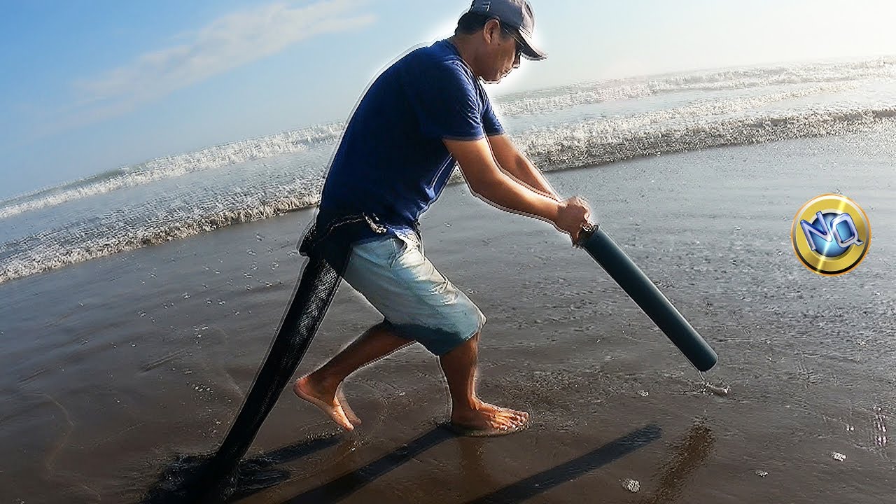 MIRA Como Sacar Napes o Maruchas, la Carnada mas Irresistible para ...