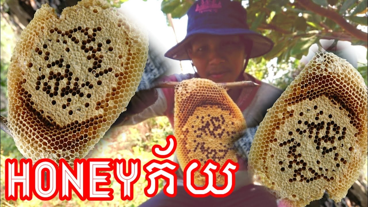 How to Pick up the Bee - YouTube