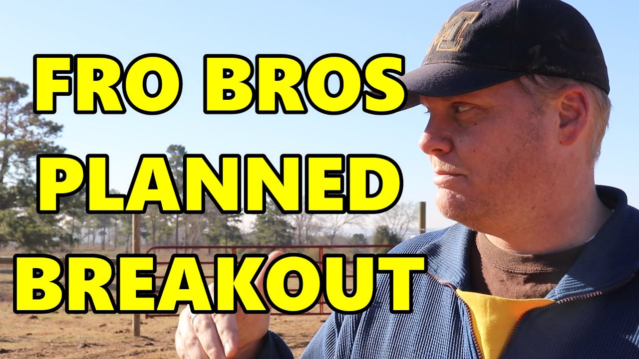 Ep. 149 - Sorting the Bison from Calves...Or Not| Blackacre Ranch - YouTube