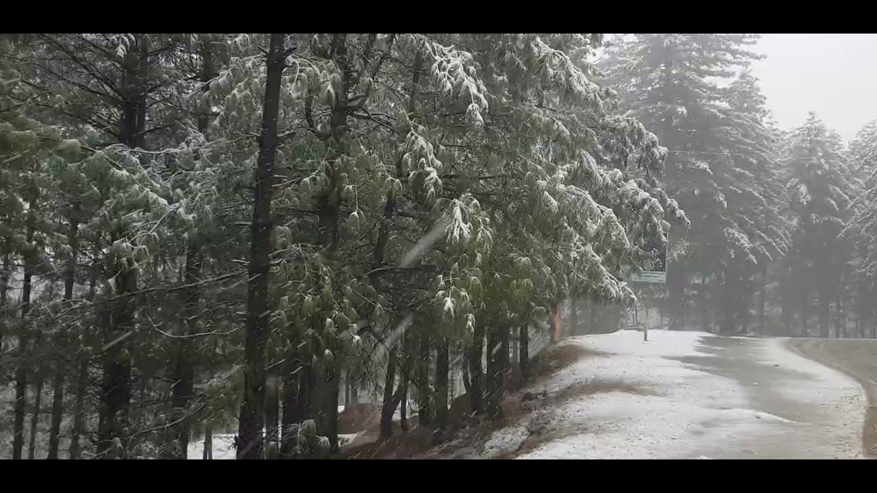 Snow Everywhere | Beautiful Snow Around | Winter and Snow - YouTube