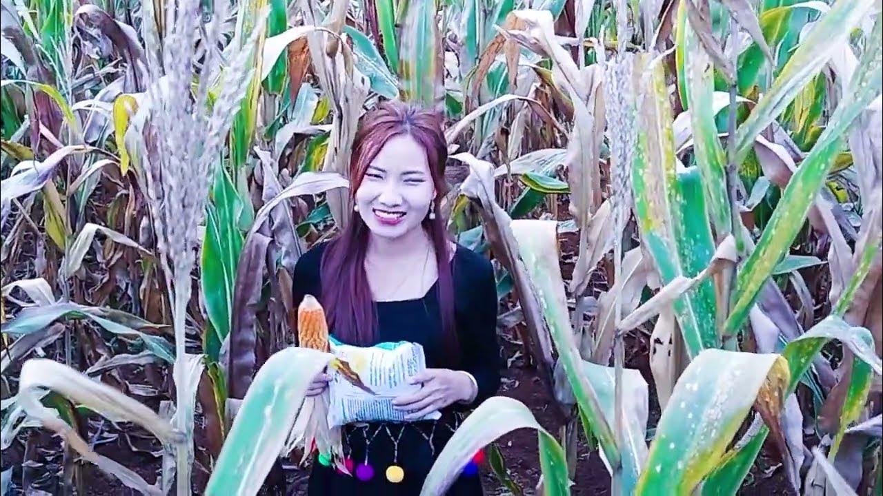 Saib Peb Thaj Teb Pob Kws Peb Toj Siab. Hmoob Toj Siab Lub Neej - YouTube