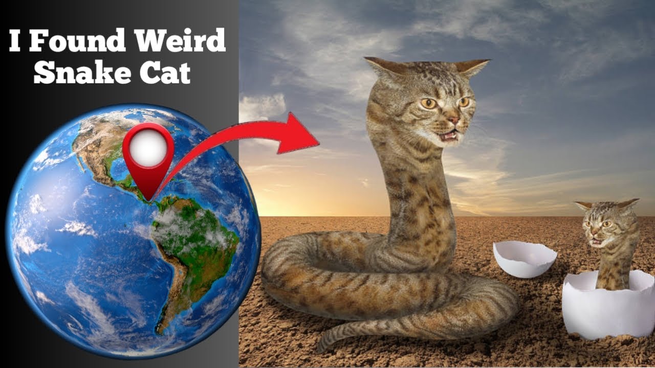 I found weird giant snake cat 🐱😱🤯 on google maps and google earth 🌎🔍 # ...