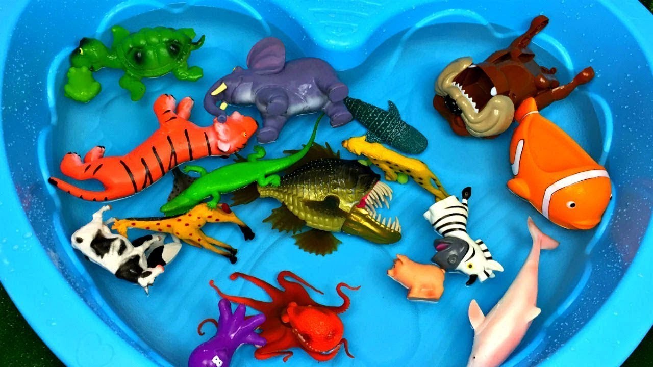 Learn Zoo Wild Animals Names Educational Toys Video For Children - YouTube