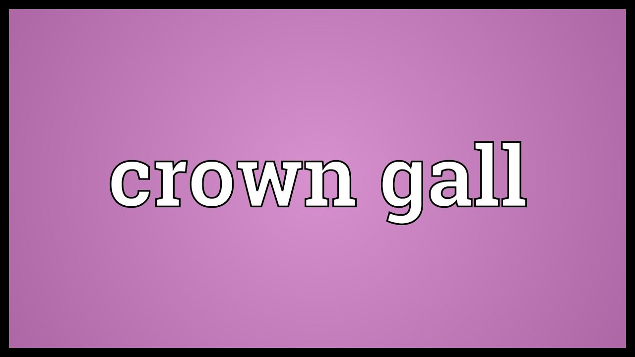 Crown gall Meaning - YouTube