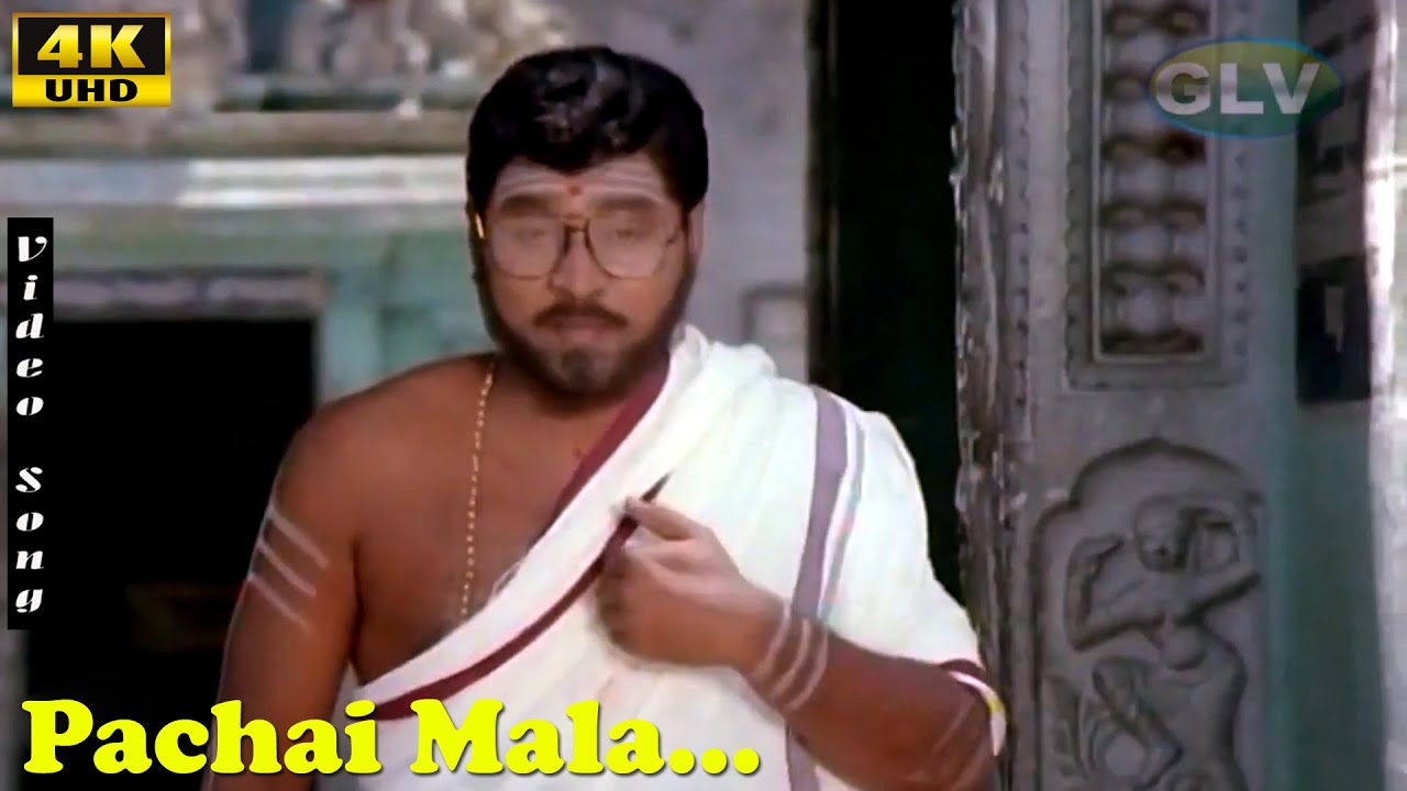 Pachai Mala Sami Onnu Song | K.Bhagyaraj | Idhu Namma Aalu ...