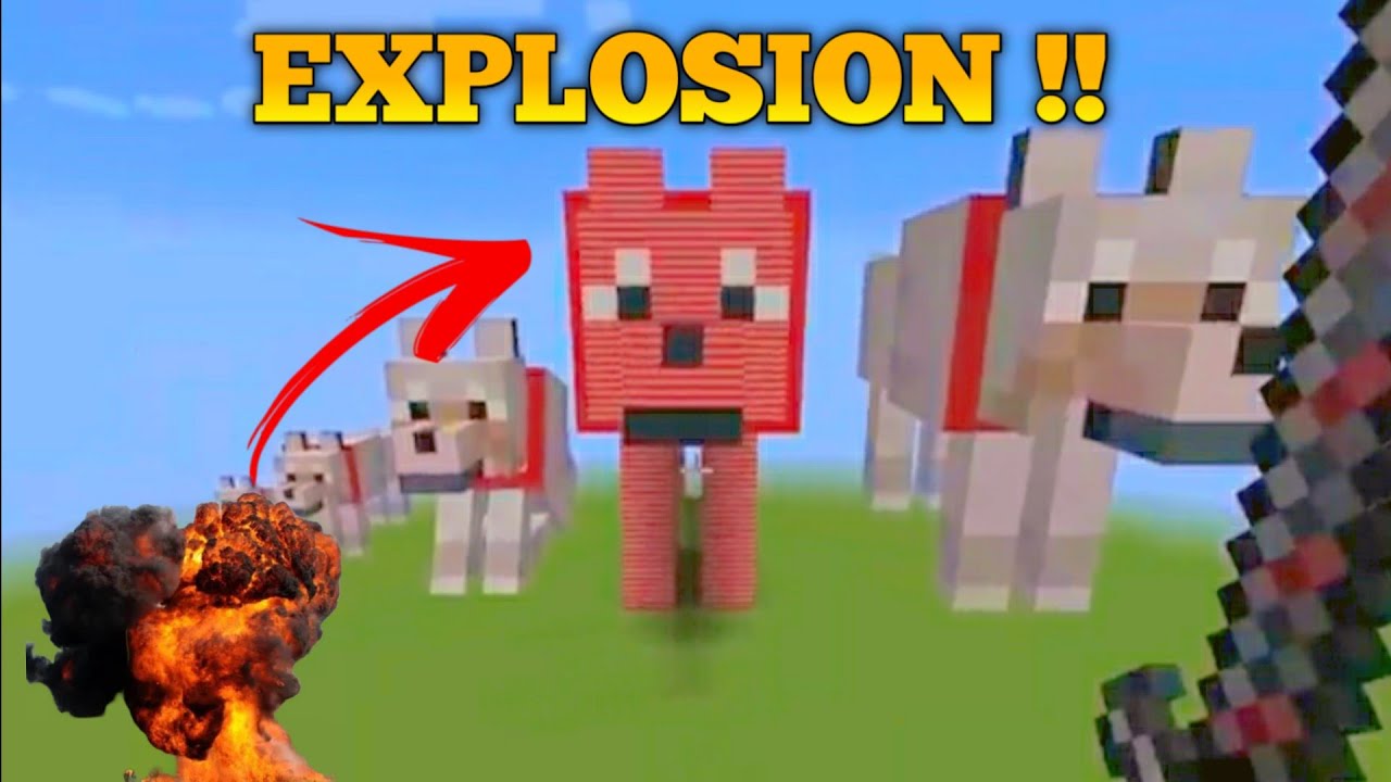 MINECRAFT TNT DOG BUILDING EXPLOSION !! - YouTube