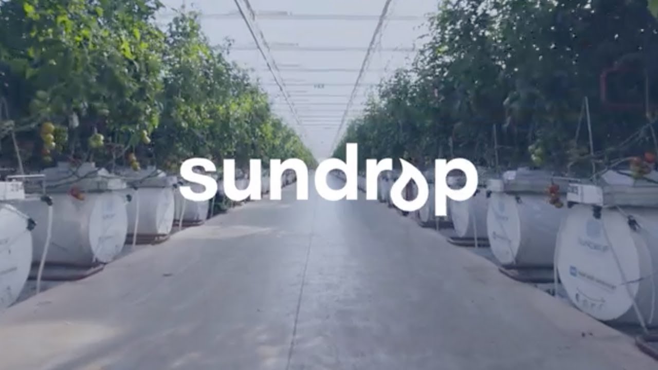 Sundrop Farms - An Overview - YouTube