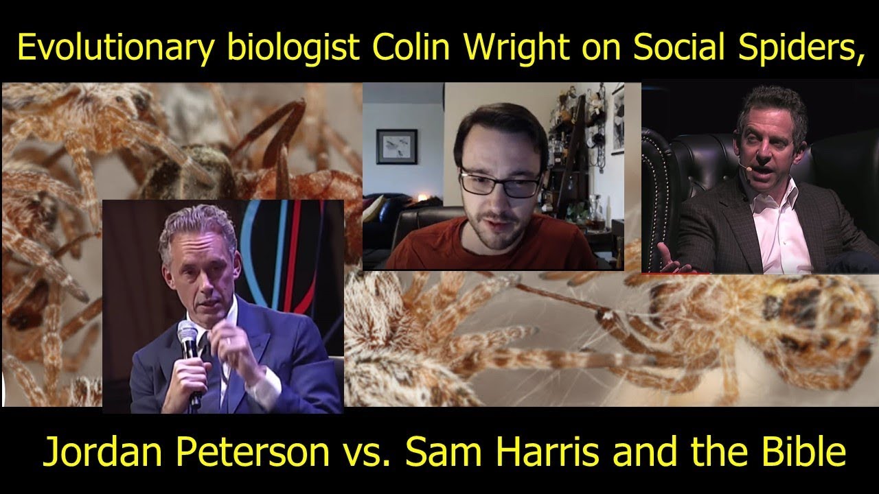 Social Spiders, Jordan Peterson vs Sam Harris and the Bible - YouTube