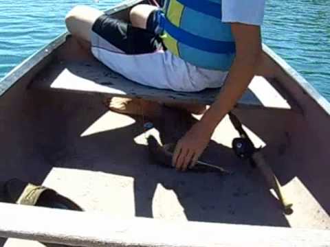 How to use a Dipsy Diver - YouTube