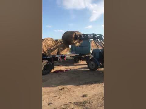 сено салома - YouTube