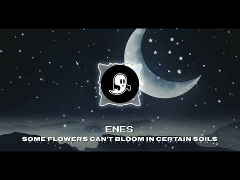 ENES - Some Flowers Can't Bloom in Certain Soils (Visualizer)