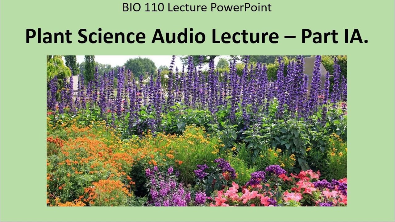 BIO110 Plant Science Notes Part 1A PPT - YouTube