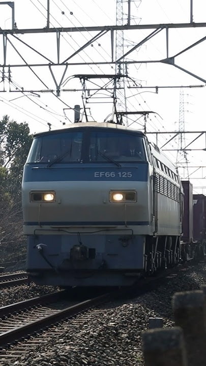 [東海道本線]EF66 125号機＋コキ20両〜飯村踏切付近〜#EF66 #EF66100番台 #EF66サメ #コキ #貨物列車 #貨物 #JR貨物 #JR #鉄道 #train # ...
