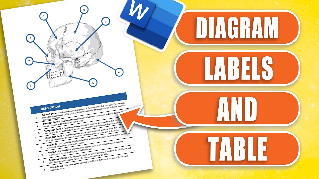 Diagram Basics: Inserting, Labelling, and Describing Every Part - YouTube