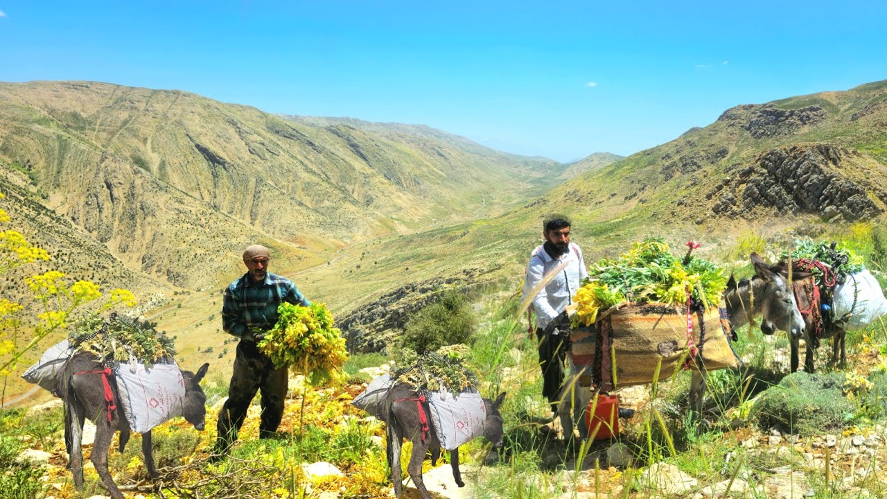 Nomadic Life: Adventures of a Nomadic Family in the Mountains: A ...