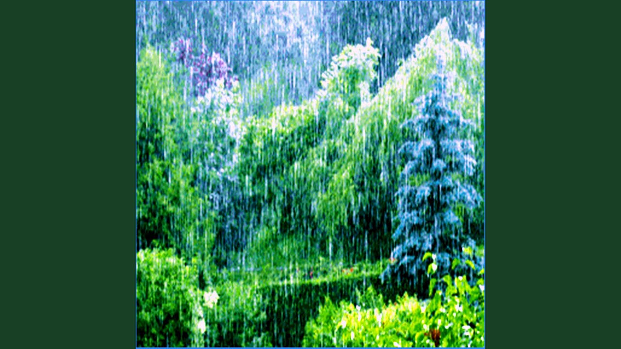 Walk in the Rainy Path 14 - YouTube