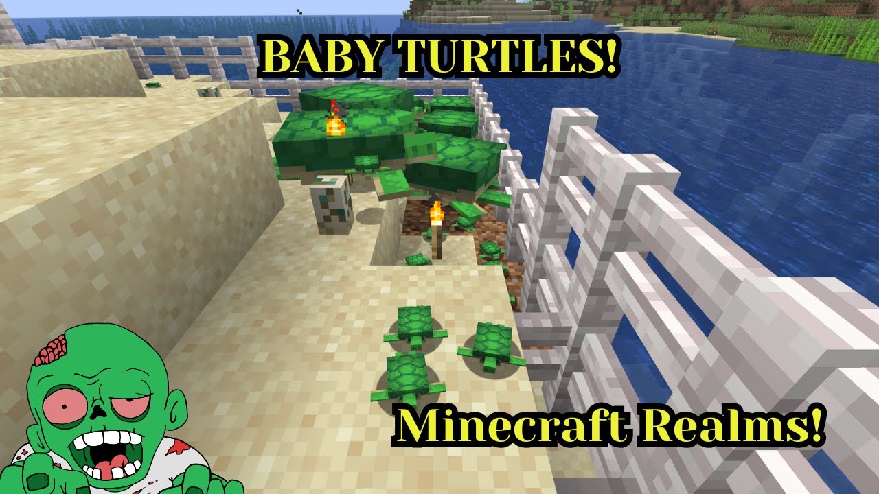 Baby Turtles - Minecraft - YouTube