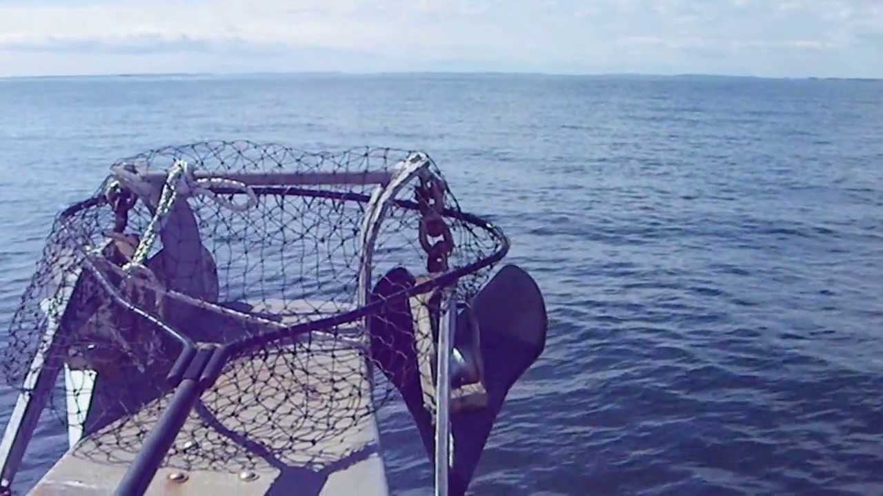 Fishing trip Orient Point, LI, NY - YouTube