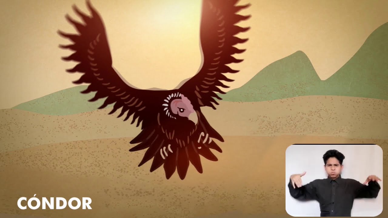 El mito de Cavillaca y Cuniraya en lengua de señas peruana - YouTube