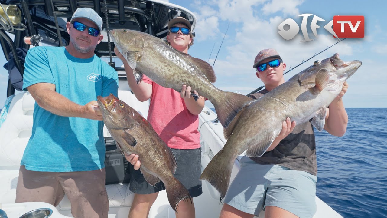 May Grouper Smackdown (Commercial Fishing) - YouTube