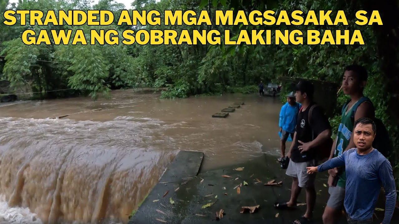 EPEKTO NG PAGPUPUTOL NG MGA PUNO KAYA ITO ANG SANHI NG PAGBAHA NG ...